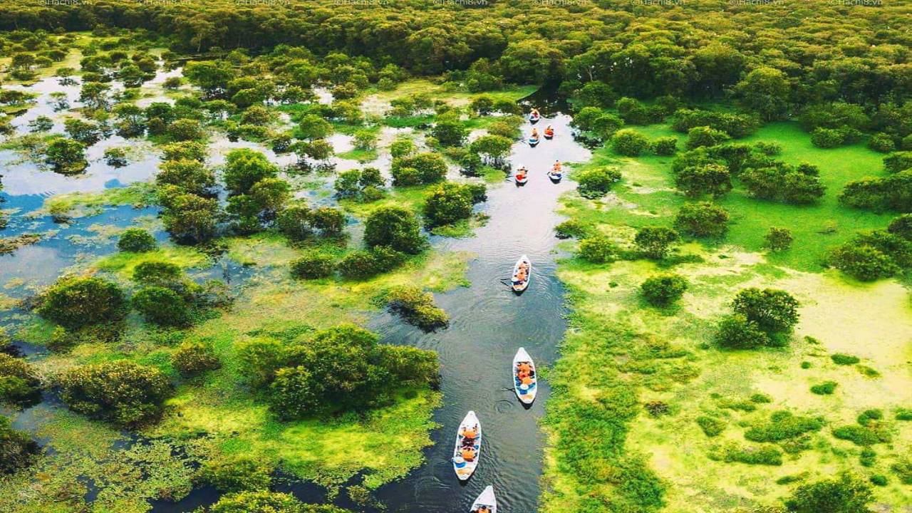 Tra Su Melaleuca Forest - Viet Dream Travel